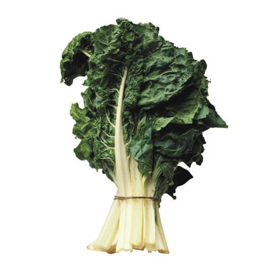 Silverbeet Bunch – All About The Box Organics